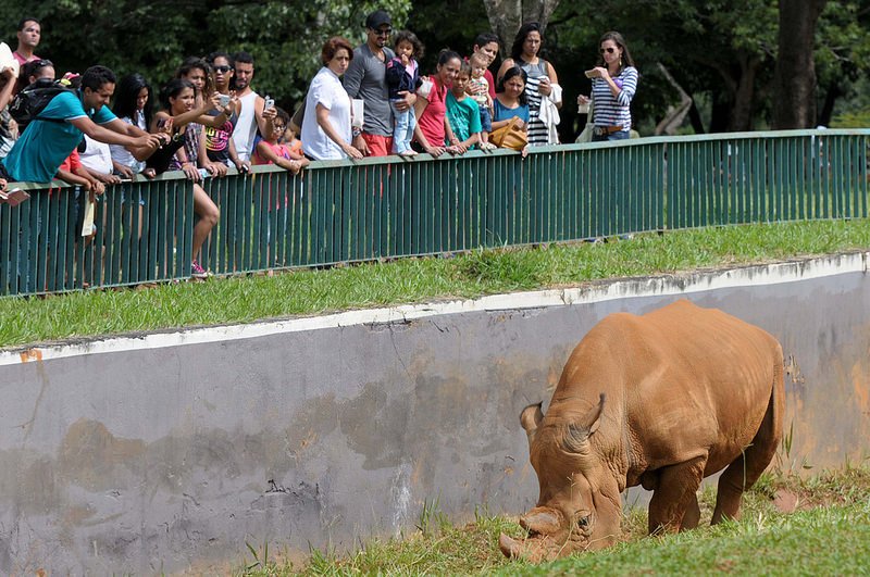 Último fim de semana no Zoo com ingresso a R$ 2 | Metrópoles