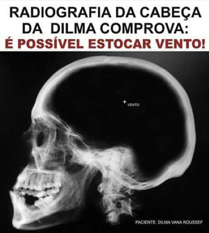 Vento que rende. Memes tiram sarro de declaração da presidente | Metrópoles