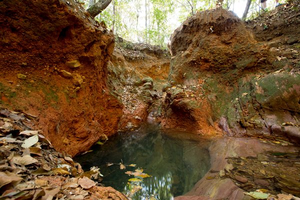Trilha para Córrego Monjolo está em péssimo estado | Metrópoles