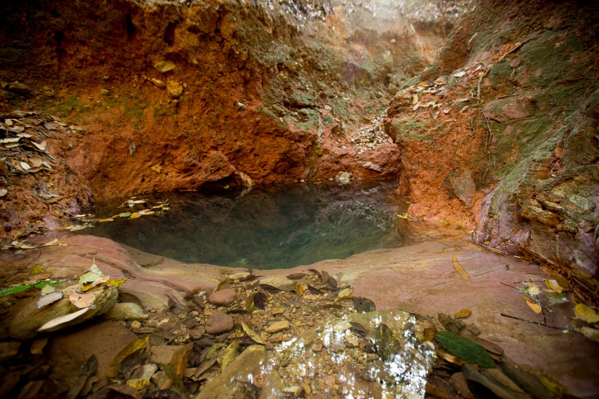 Trilha para Córrego Monjolo está em péssimo estado | Metrópoles