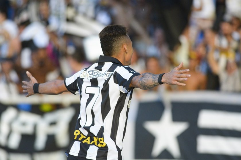 Botafogo derrota o Bahia e praticamente garante acesso | Metrópoles