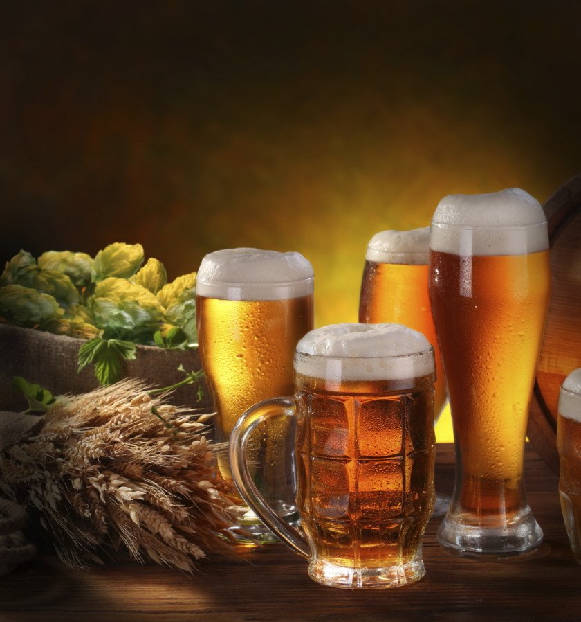 Pedro Ribeiro ministra curso de cerveja artesanal em Brasília | Metrópoles