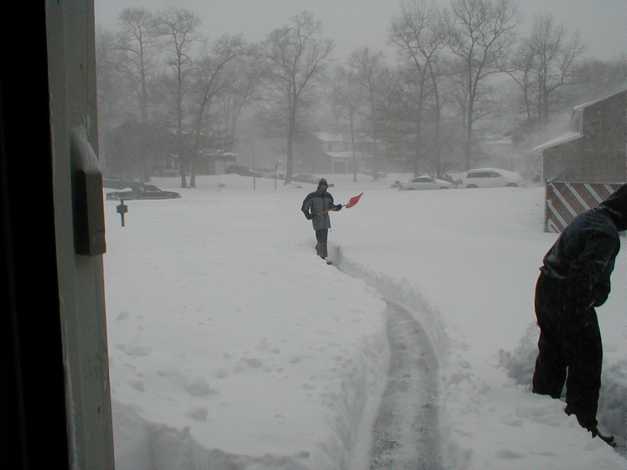 Tempestade de neve cobre noroeste dos Estados Unidos | Metrópoles