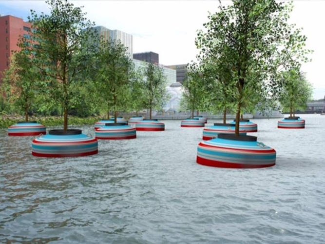 Holanda começa a implementar protótipos do projeto de floresta ...