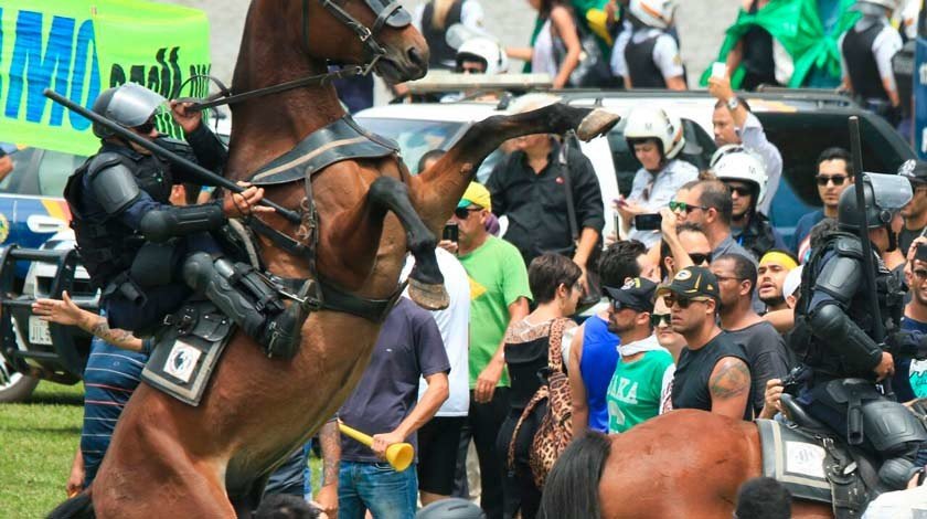 PMDF abre licitação de R$ 1,3 milhão para compra de 25 cavalos | Metrópoles