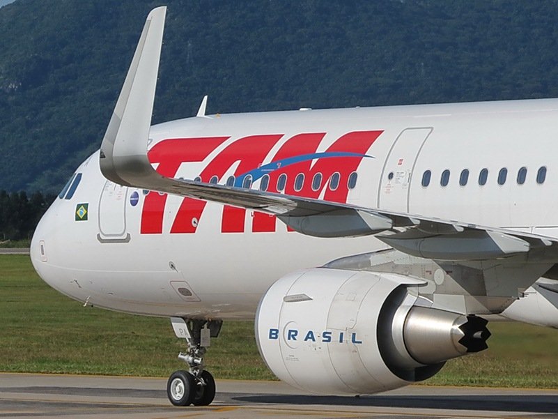 Avião da TAM retorna a Guarulhos, São Paulo, após colisão com pássaro ...