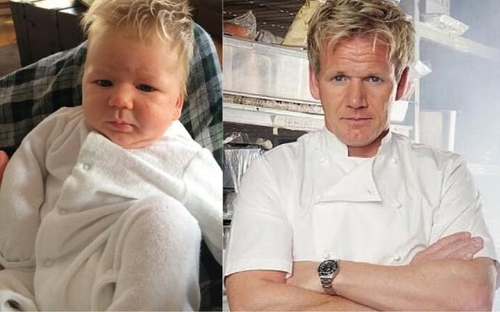 Foto de bebê idêntico ao chef Gordon Ramsay deixa web de cabelo em pé ...