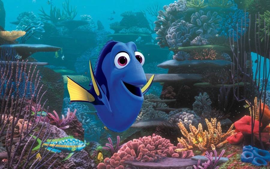 “Procurando Dory” tem pré-estreias à 0h de quarta | Metrópoles