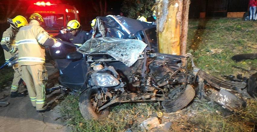 Motorista se fere gravemente após bater em árvore na BR-020 | Metrópoles