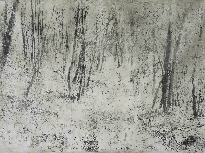 Adriana Rocha abre mostra “Still Life” e lança livro na Referência ...