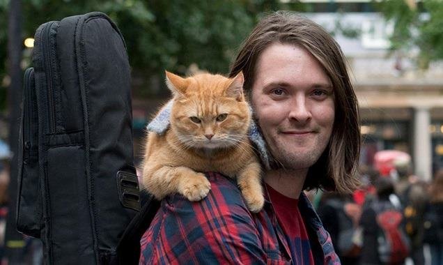 História de amizade entre um gato e um morador de rua vira filme ... História de amizade entre um gato e um morador de rua vira filme ...