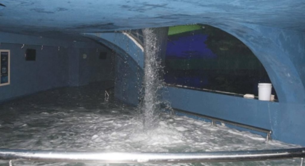 Tanque de aquário gigante se rompe e inunda ruas no México