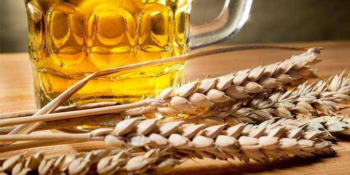 Cervejas de trigo têm muita história e várias receitas mundo afora ...