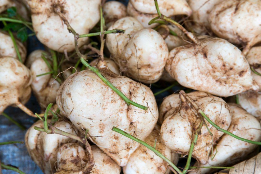 Você conhece a jícama? Listamos receitas com a gostosa raiz | Metrópoles