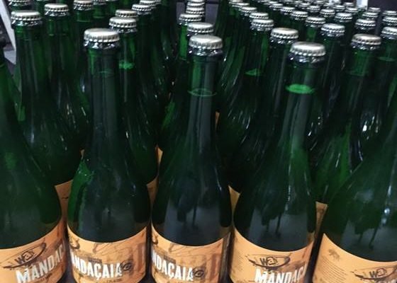 Way Beer lança cerveja com mel de abelha nativa do Brasil