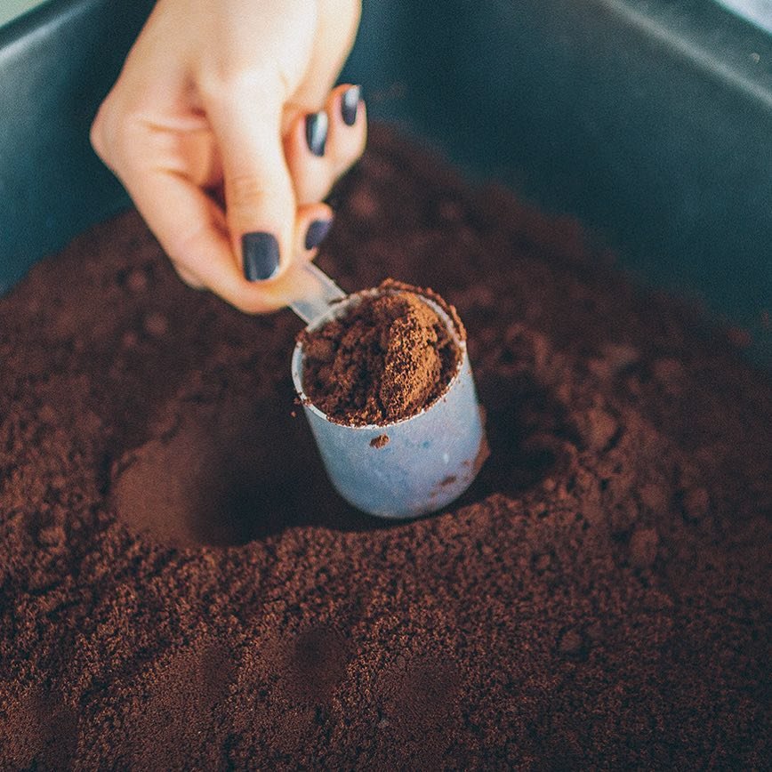 Projeto Recoffee Design transforma borra de café em joias ecológicas ...