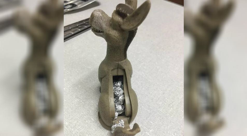 Traficante usava “burro do Shrek” para esconder crack no DF | Metrópoles Traficante usava “burro do Shrek” para esconder crack no DF | Metrópoles