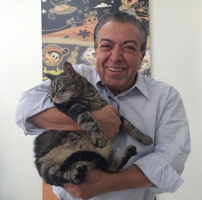 Conheça Chico, o gato líder da dominação mundial felina | Metrópoles