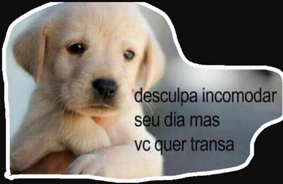 45 memes que ajudam a chamar o crush para transar pelo WhatsApp ...