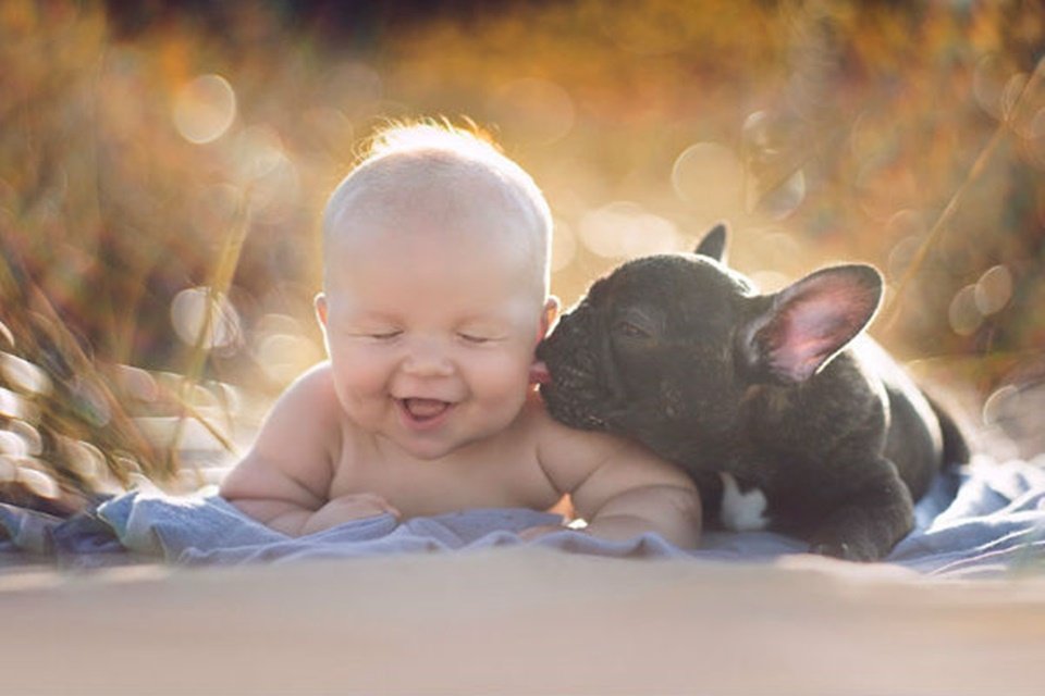 Fotos mostram linda relação de cão e bebê nascidos no mesmo dia ...