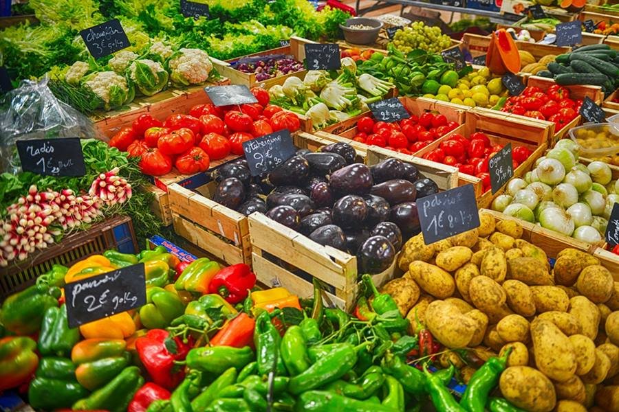 Artigo: entenda a importância dos alimentos orgânicos na sua vida ...