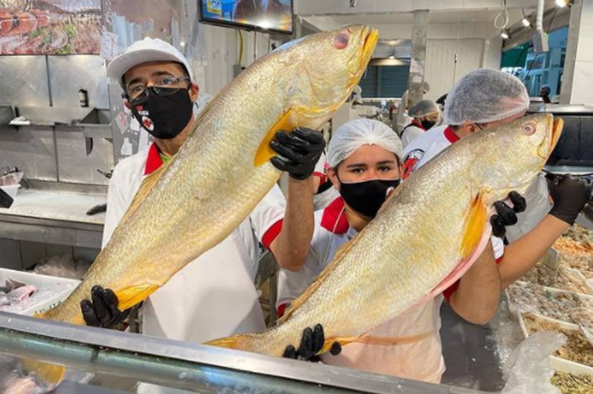 4 peixarias para garantir peixes e frutos do mar durante a Quaresma ...