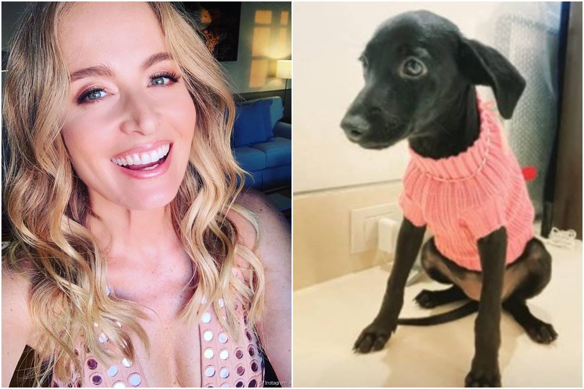 Angelica Mora's Instagram, Twitter & Facebook on IDCrawl