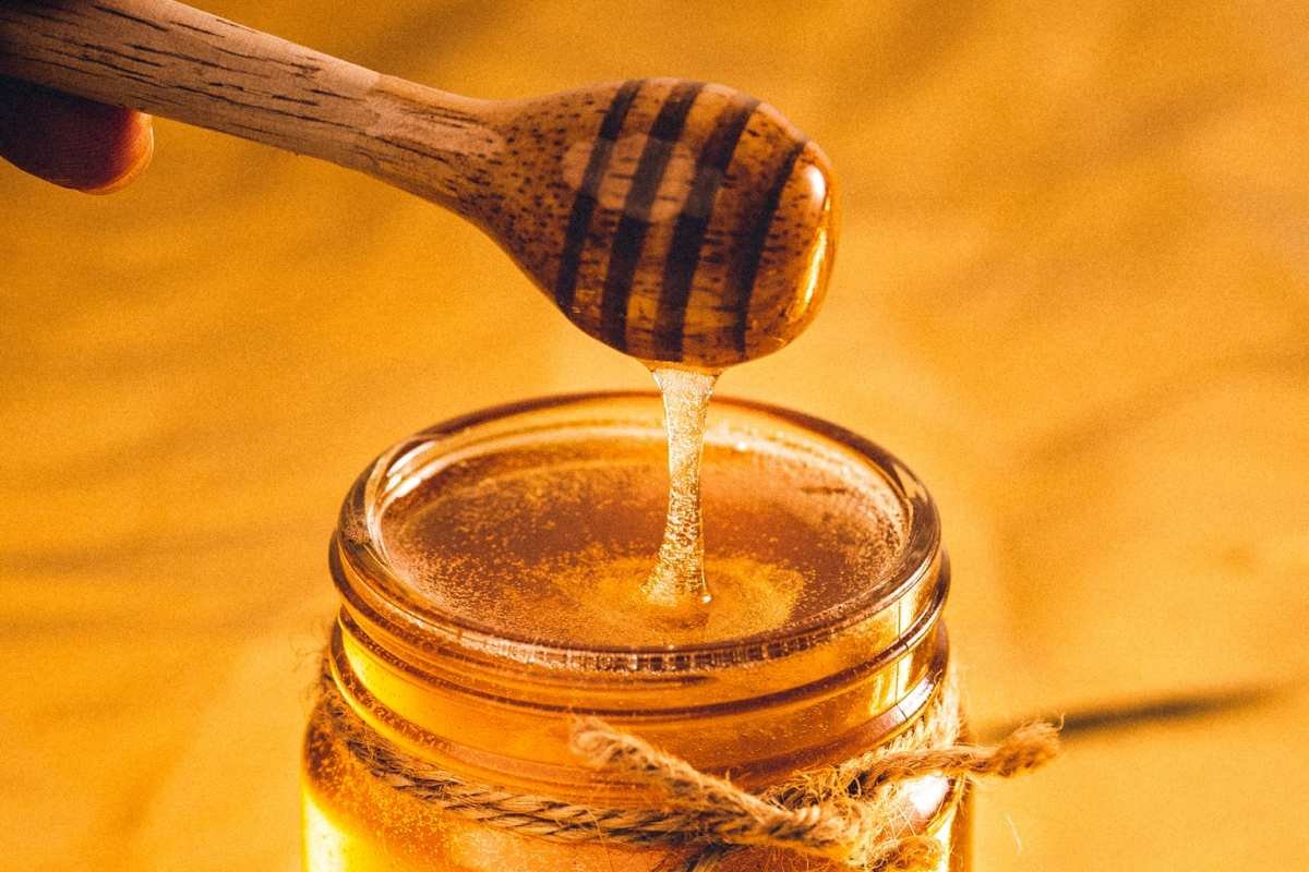 Benefícios do mel na alimentação: saiba como consumir e quando evitar ...