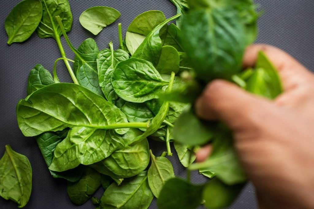 Espinafre aumenta a massa muscular? Saiba propriedades do vegetal ...