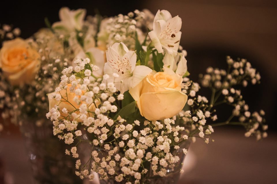 Ana Paula Hoff celebra aniversário em surpresa feita pela AMA Brasília ...