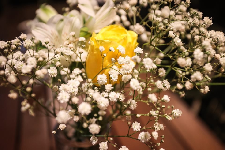 Ana Paula Hoff celebra aniversário em surpresa feita pela AMA Brasília ...