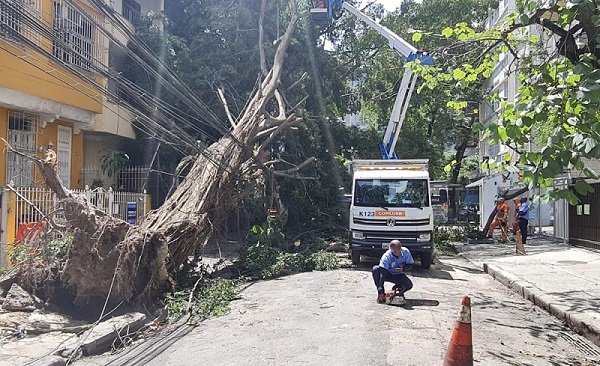 Temporal deixa rastro de destruição em várias regiões do Rio | Metrópoles