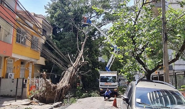 Temporal deixa rastro de destruição em várias regiões do Rio | Metrópoles