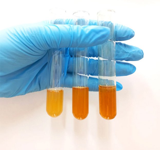 “Melzinho do amor”: conheça os riscos do estimulante sexual ilegal ...