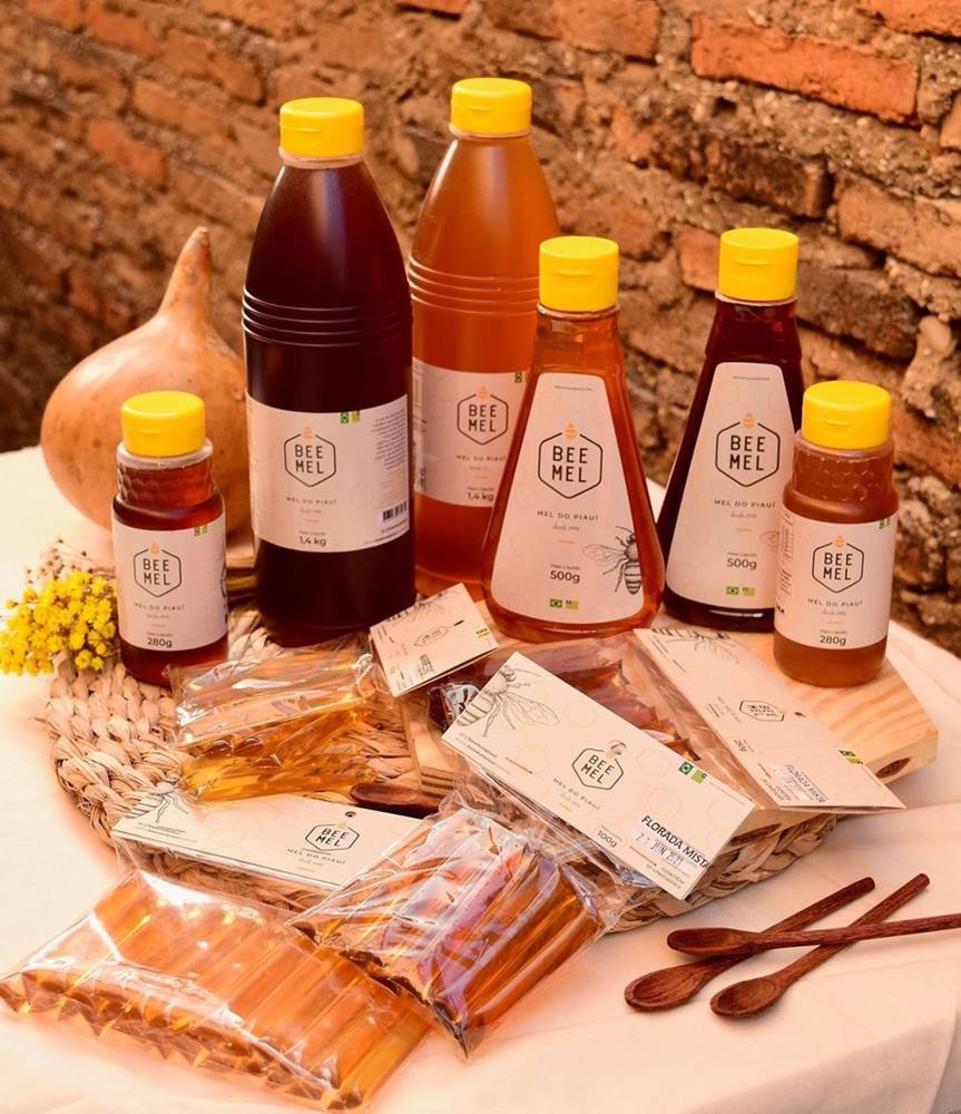 Conheça Teresa Raquel Bastos, a primeira sommelière de mel do Brasil ...