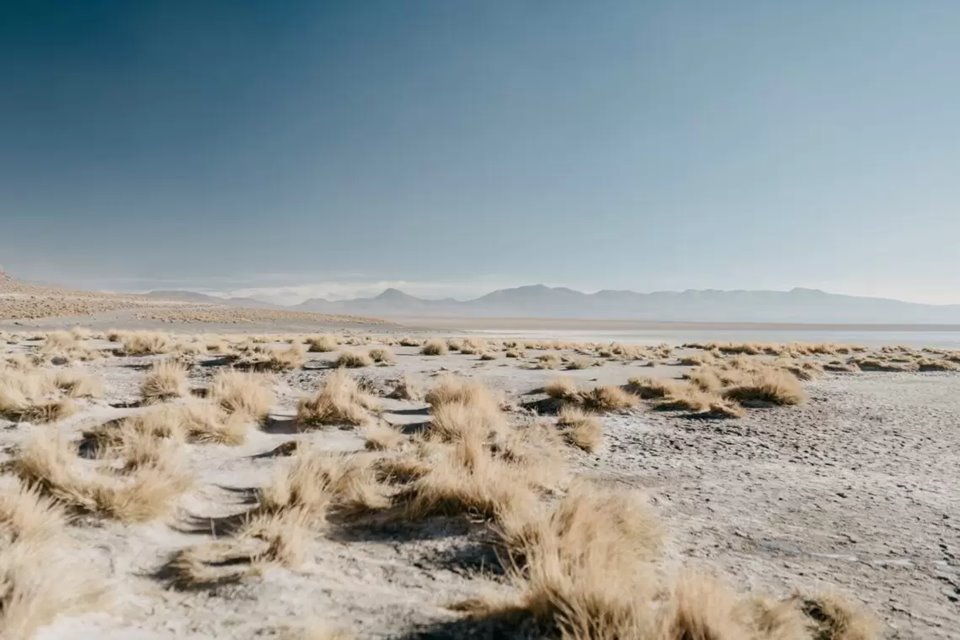 Cientistas alertam para piora nas secas repentinas no mundo | Metrópoles