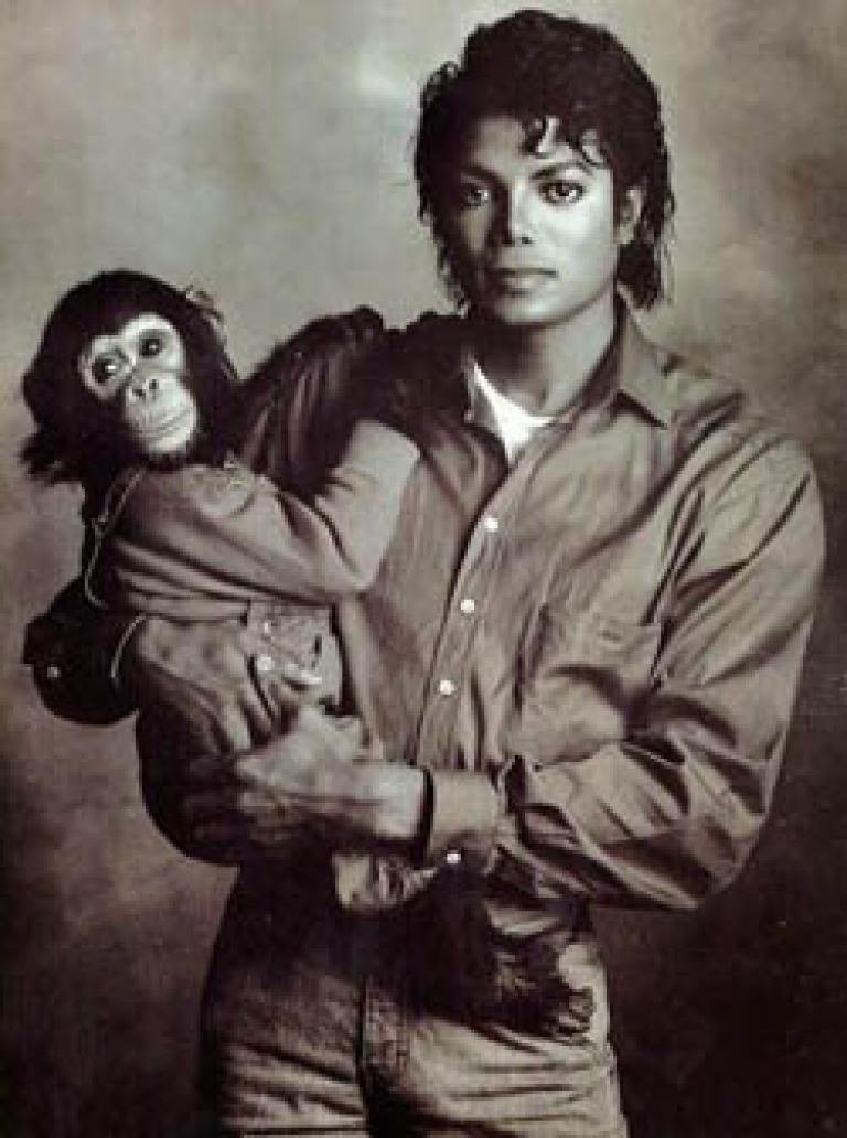 Bubbles: onde está e como vive o chimpanzé amigo de Michael Jackson ...