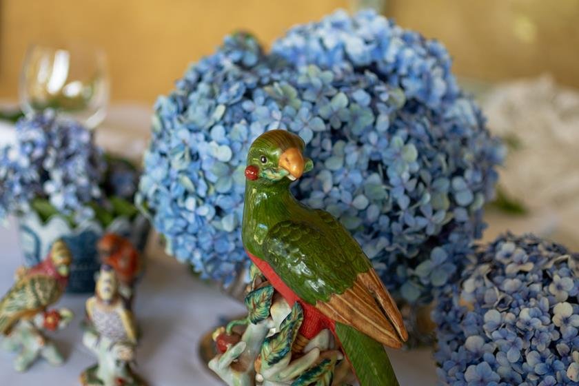 Anna Paola Frade apresenta Chris Gontijo para amigas em tarde incrível ...