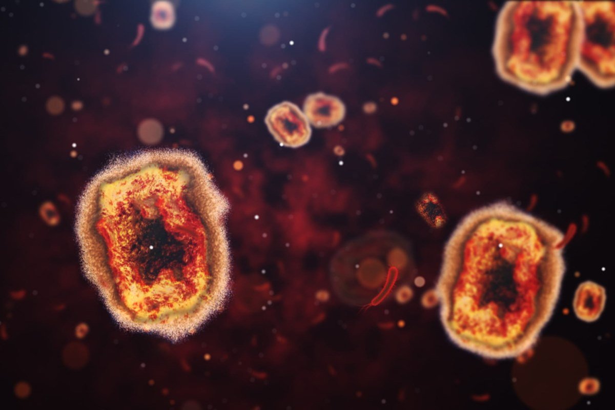 Varíola dos macacos: saiba os principais sintomas e como é tratamento ...