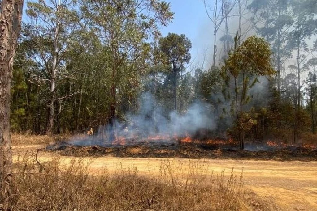 Combate a incêndio no Parque Nacional de Brasília é retomado nesta 6ª ...