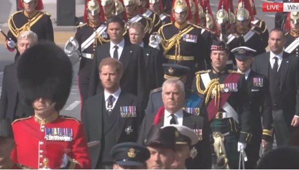 Veja fotos e saiba quem é o guarda-costas bonitão do rei Charles III ...
