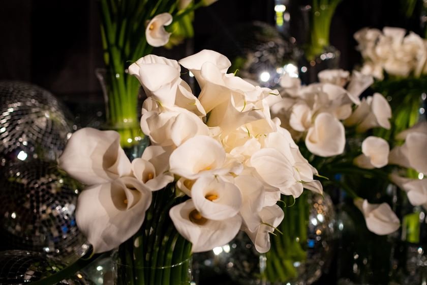 Isadora Mendonça celebra os 17 anos com show do DJ Pedro Sampaio ...