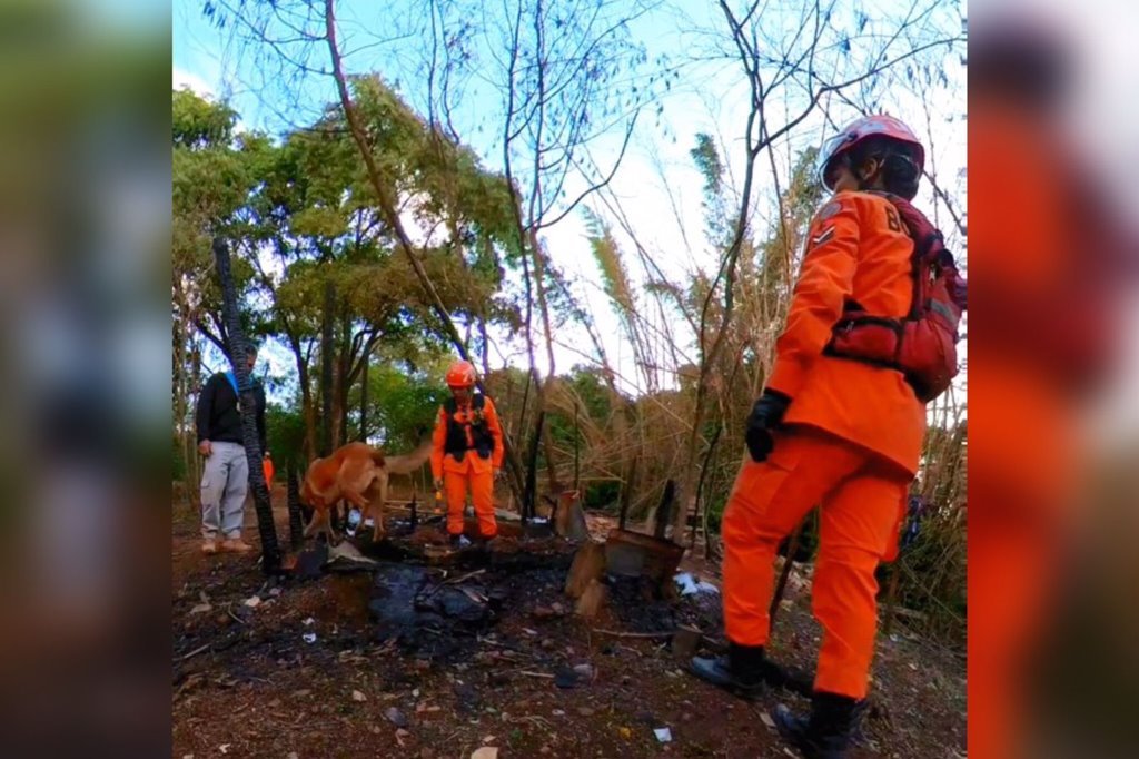PCDF encontra corpo desmembrado e carbonizado perto de motel no DF ...