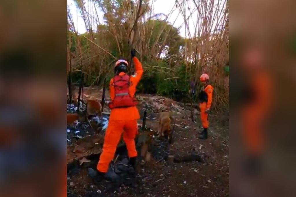 PCDF encontra corpo desmembrado e carbonizado perto de motel no DF ...