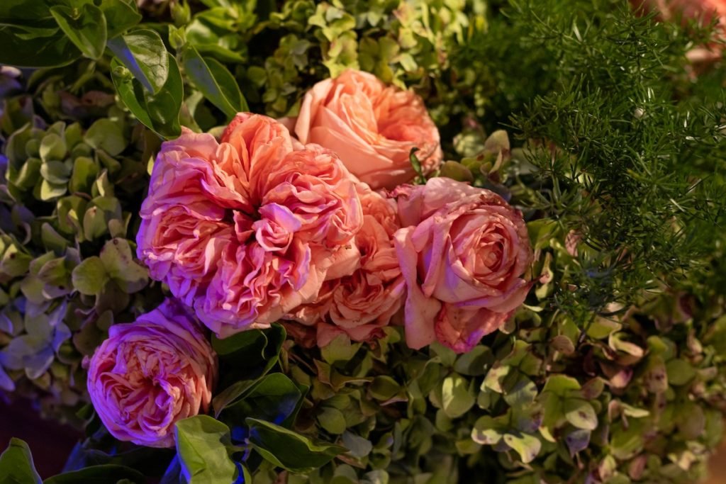 Bella Bittar e Leonardo Lobo oficializam noivado em festa deslumbrante ...