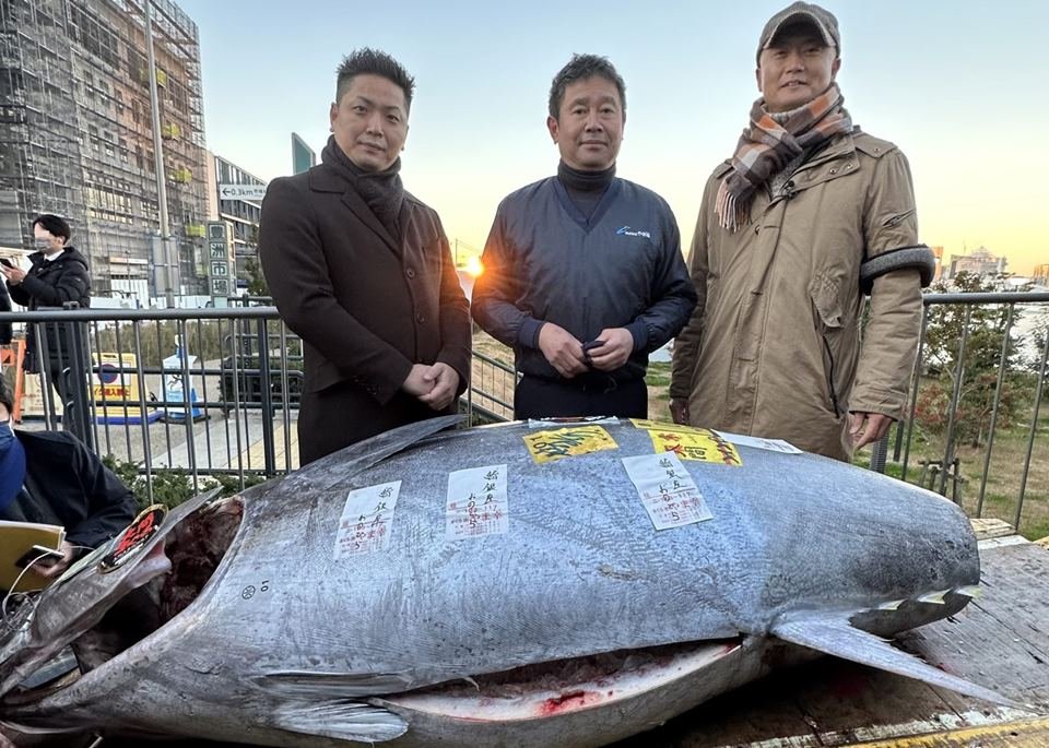 Atum-rabilho de 212kg é leiloado por R$ 1,4 milhão no Japão | Metrópoles