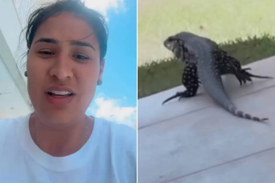 Vídeo. Animal invade mansão de Simone Mendes e assusta cantora | Metrópoles