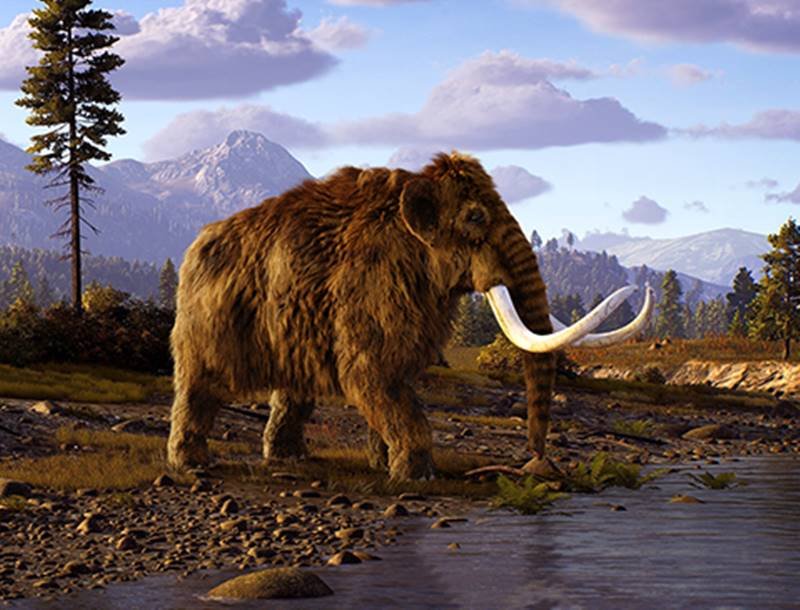 Cientistas tentam “ressuscitar” o dodô, pássaro extinto no século 17 | Metrópoles