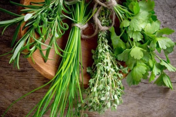 Conheça quatro ervas poderosas para usar em qualquer ritual | Metrópoles
