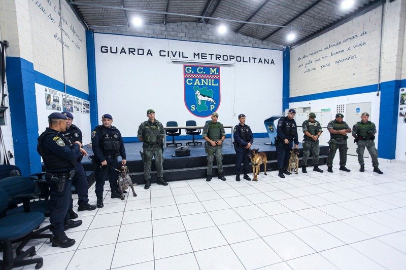 Cães Farejadores Drone E Equipe Da Guarda De Sp Vão Ajudar No Litoral